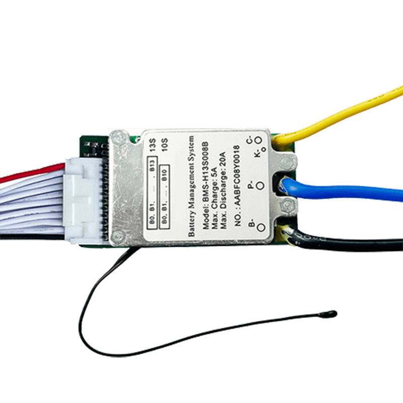 BMS 13S20A 48V Common Port with Switch | Skya Power